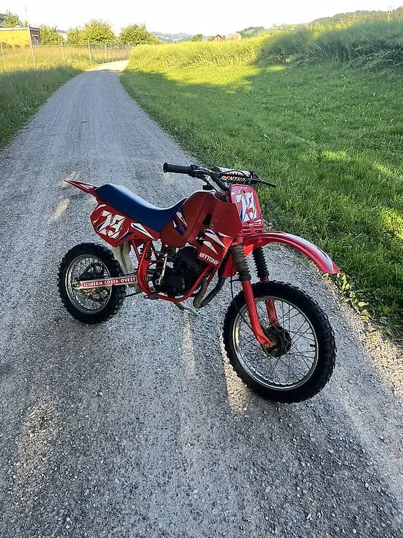 Yamaha Grizzly Occasion kaufen: Inserate & Kleinanzeigen